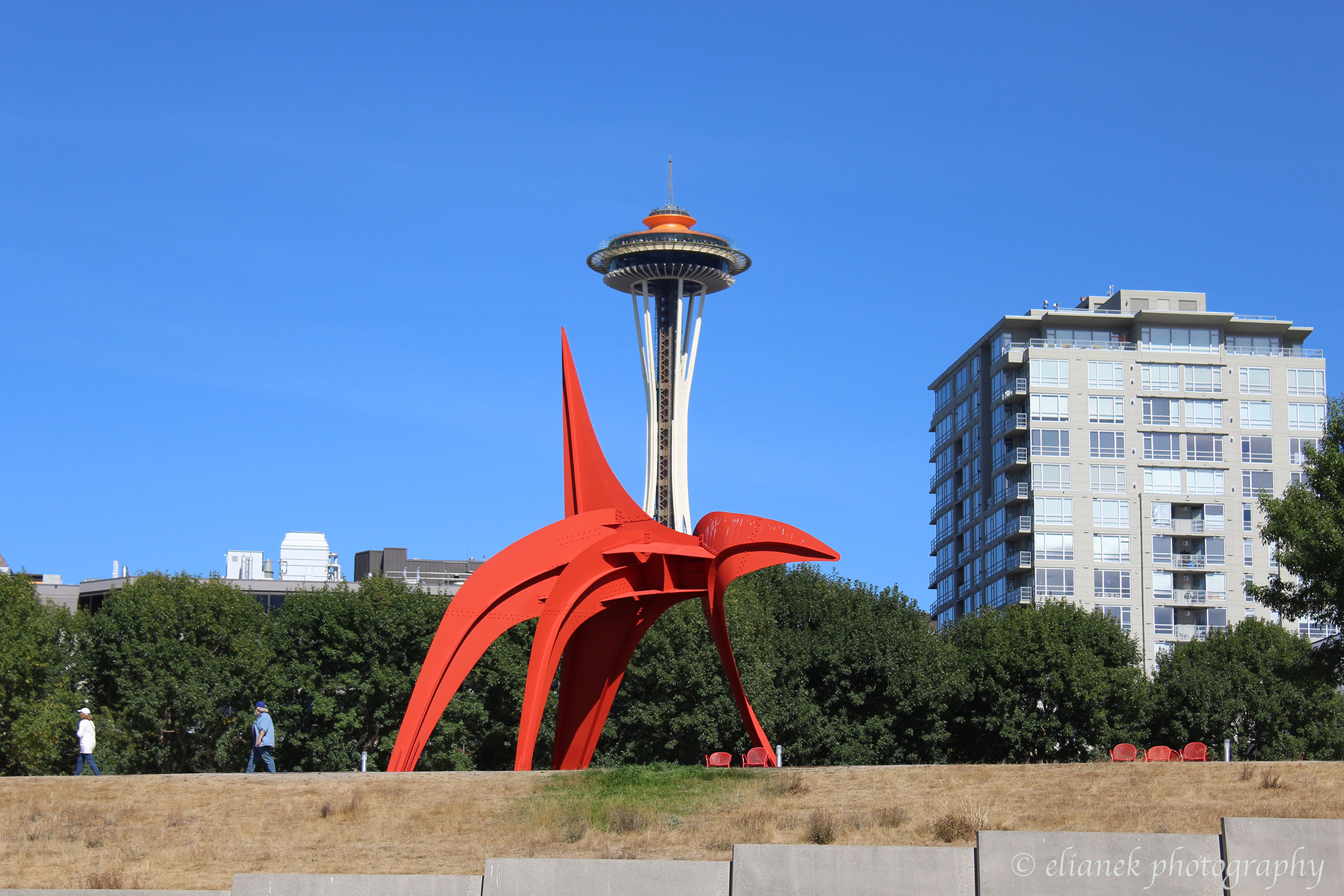 O que fazer em Seattle: Passeios Imperdíveis | Blog Viajando Sem Tedio