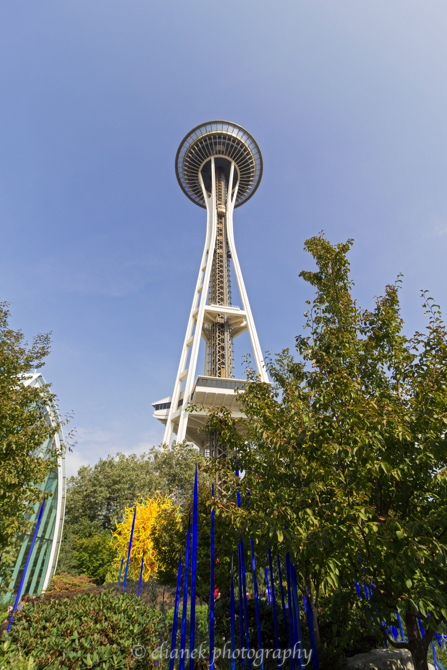 O que fazer em Seattle: Passeios Imperdíveis | Blog Viajando Sem Tedio