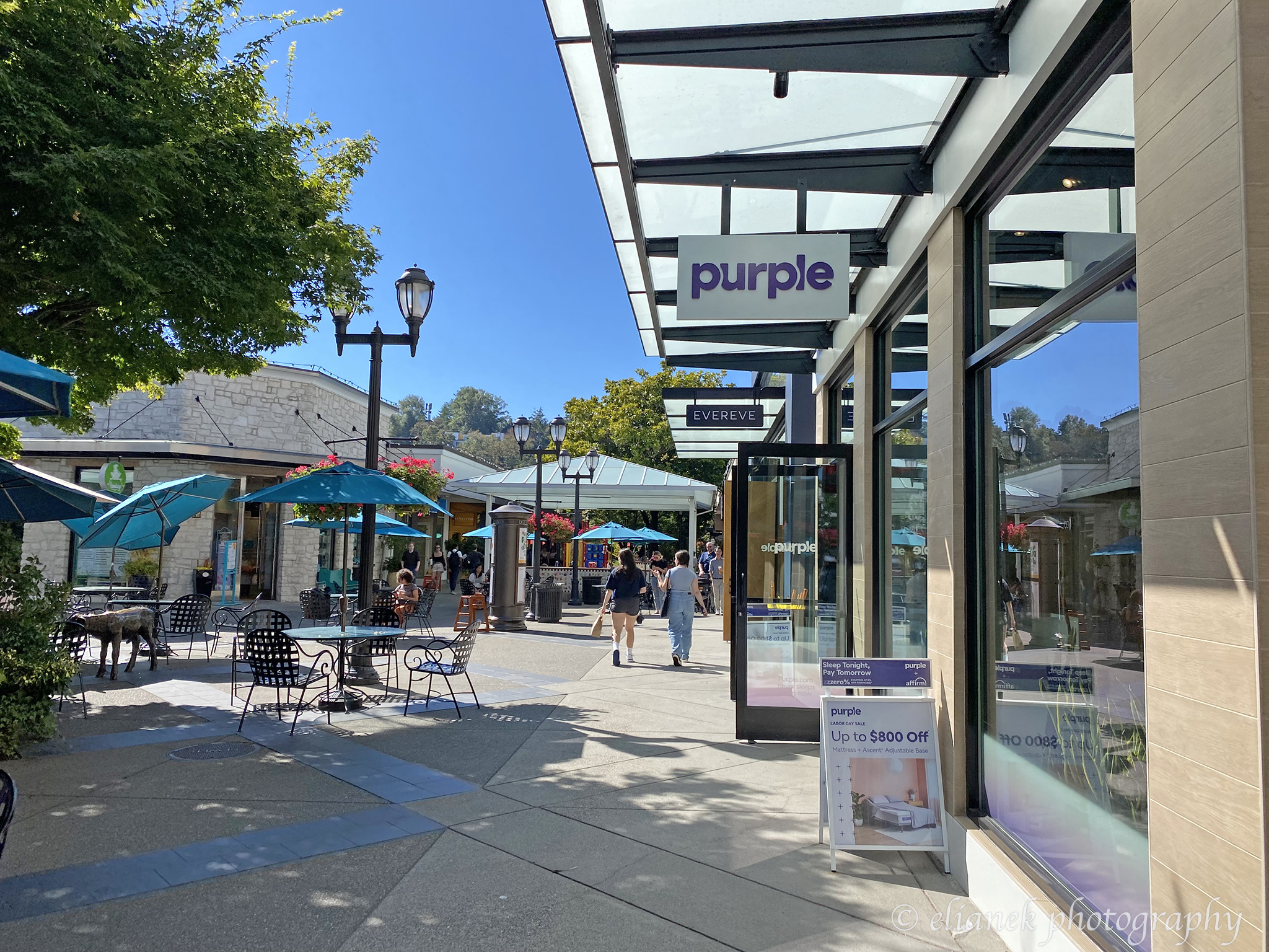 Seattle Pontos Turísticos Menos Conhecidos | Blog Viajando Sem Tedio