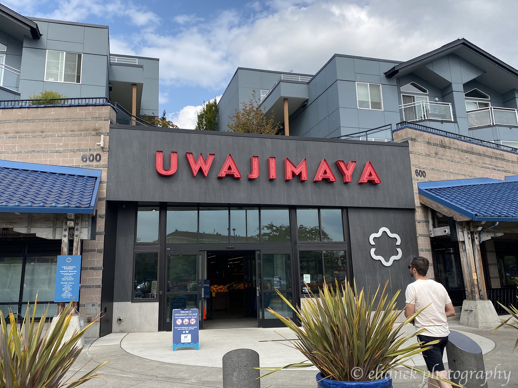 Seattle Pontos Turísticos Menos Conhecidos | Blog Viajando Sem Tedio