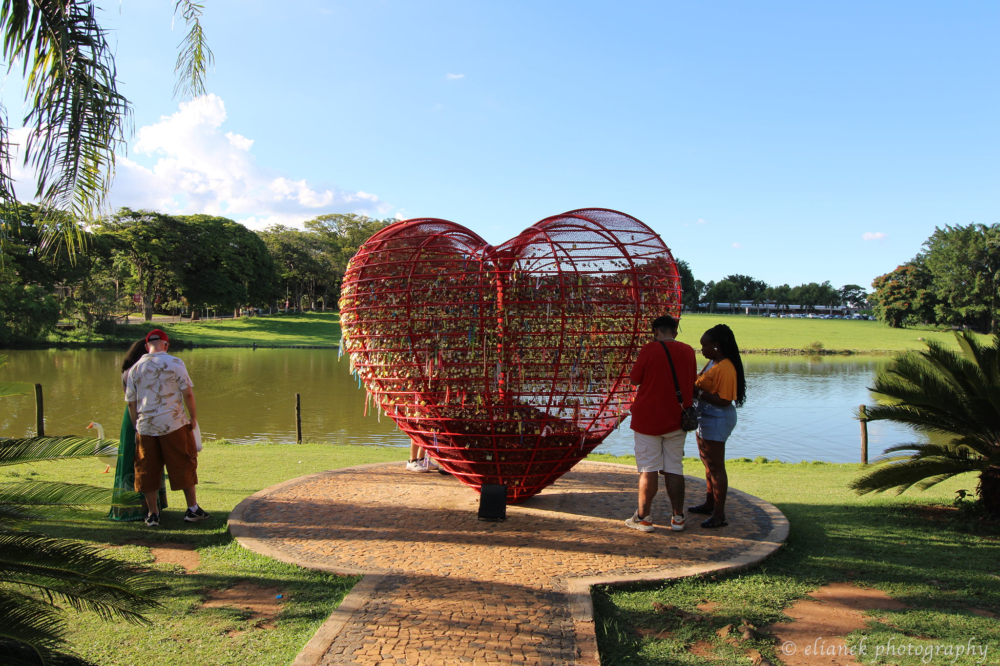 Holambra em SP: O que fazer na Cidade das Flores | Blog Viajando Sem Tedio