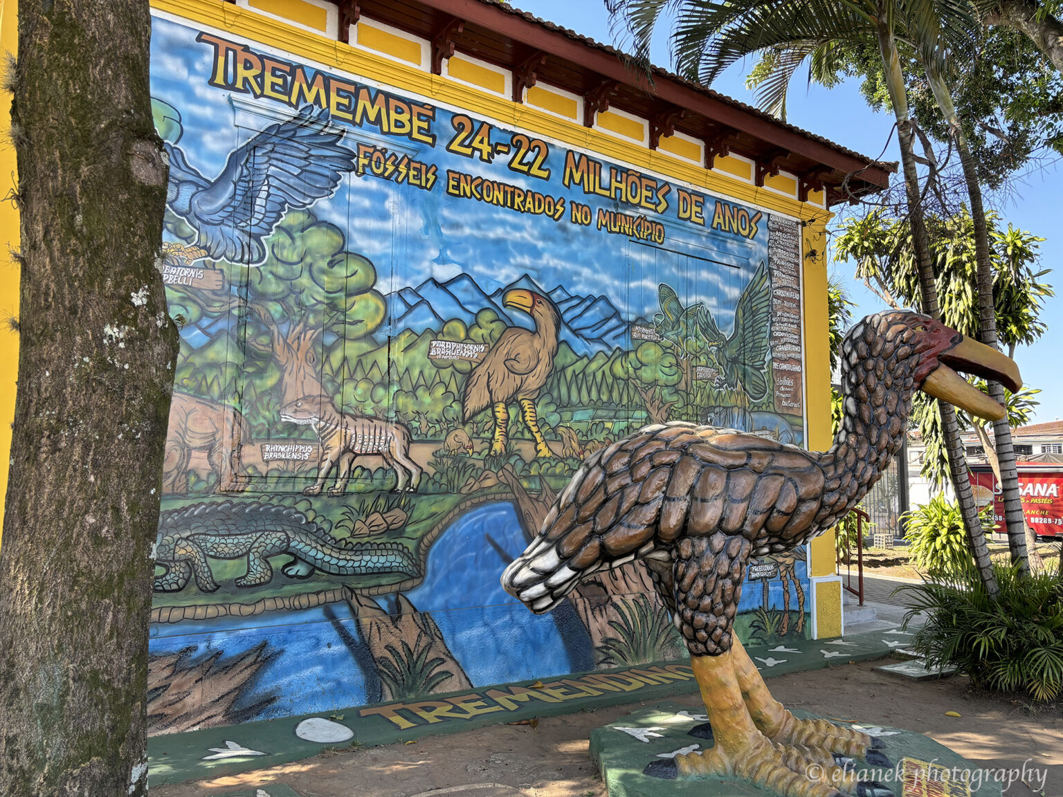 Tremembé: conheça a cidade do Festival do Arroz | Blog Viajando Sem Tedio